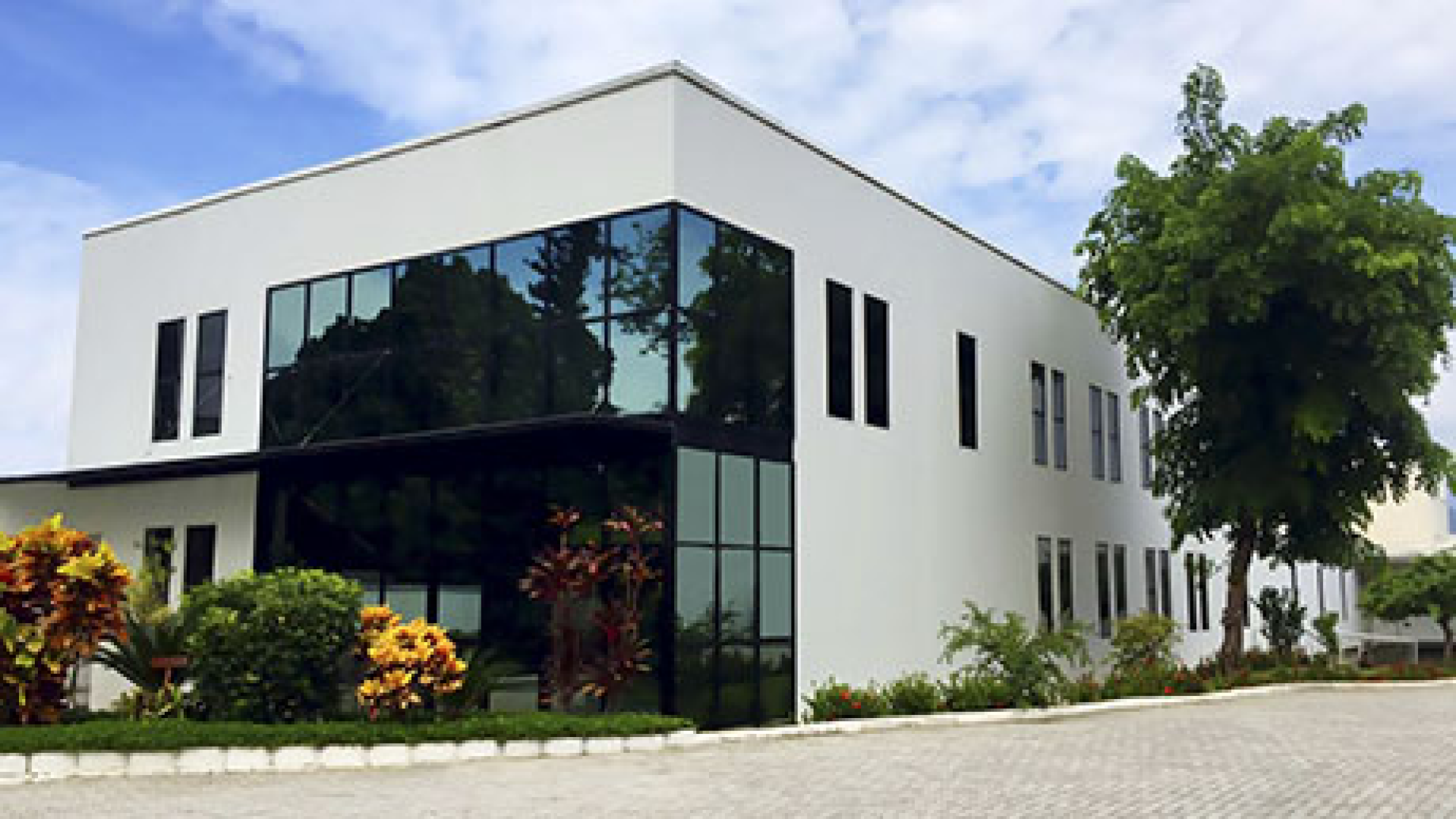 Voitto Para Empresas